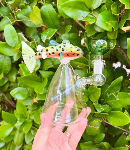 Izzy The Glassblower Rainbow Trout Fish Bong Unique USA Made Heady 6 ...