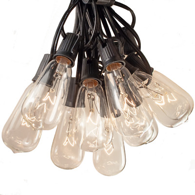 ST40 Clear 7 Watt Indoor, Outdoor String Lights for Patio, Cafe and ...
