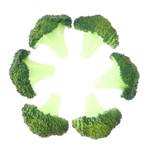 Green Fake Broccoli Slice PVC Simulation Broccolis Kitchen Decor | eBay ...