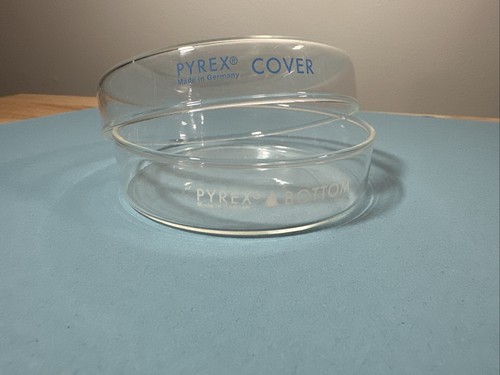 Vintage PYREX Glass Petri Dish 100mm x 10mm Cover & Bottom Made in ...