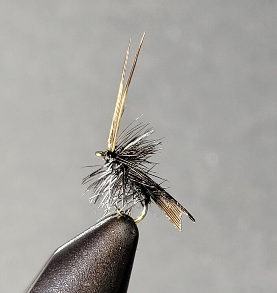 BLACK SEDGE Dry Fly Fishing Flies, 1 Fly, You Choose Size | eBay