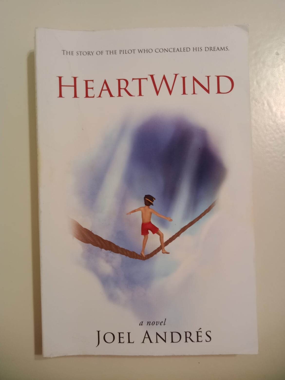 HeartWind (English Edition) : The Story of the Pilot Who Concealed His ...