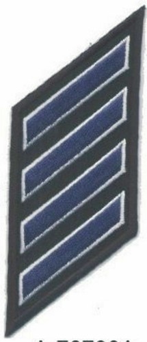 Police Four 4 Stripe 20 Twenty Year Service Stripes Insignia ...