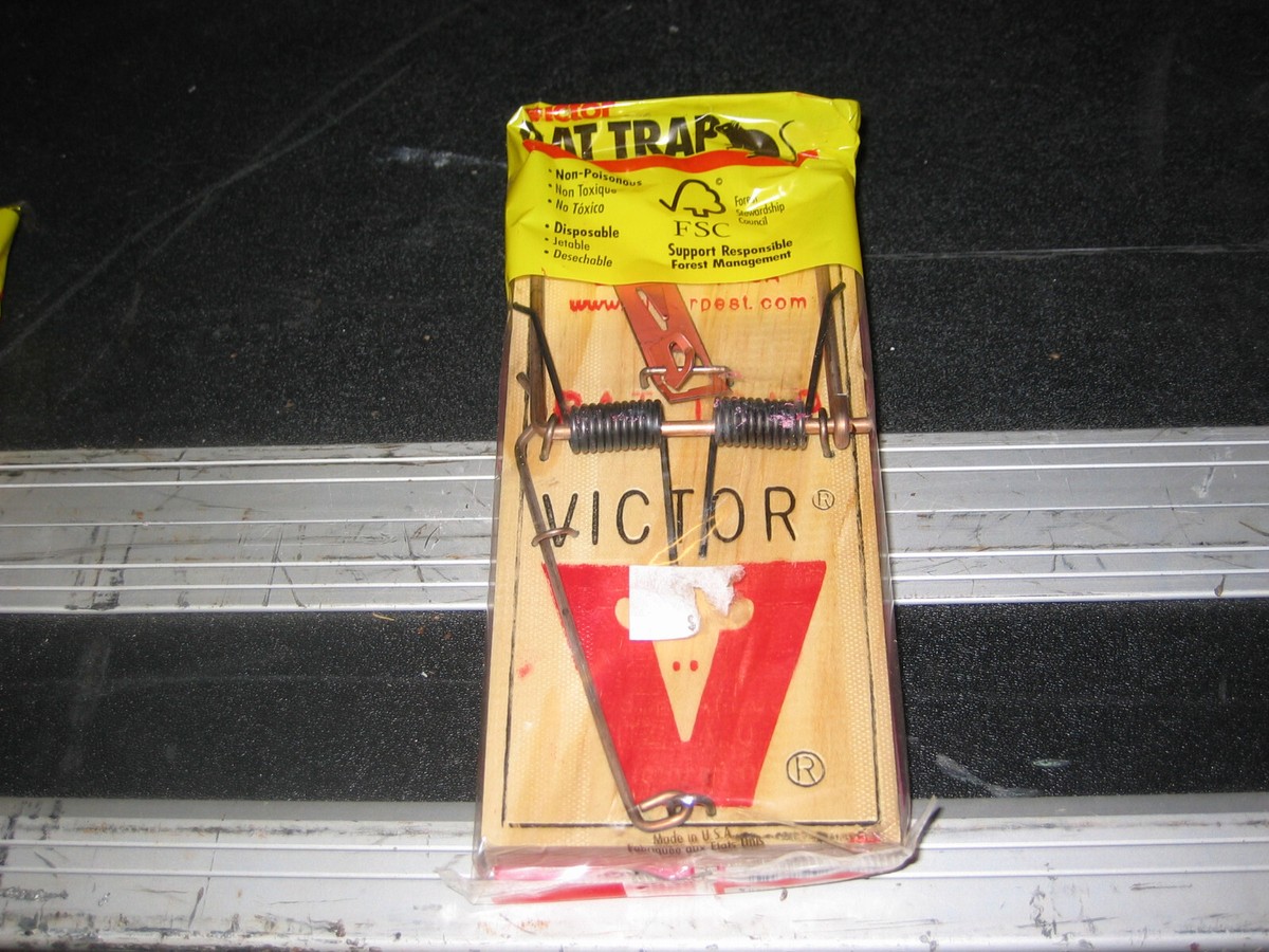 Victor Mouse Traps Top View The 4 Best Mouse Traps, Reviewed By BHG