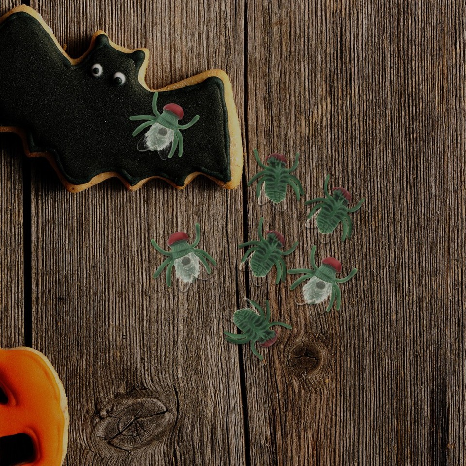 50 Pcs Insect Model Toy Set Small Plastic Realistic Bugs Figures Toys ...