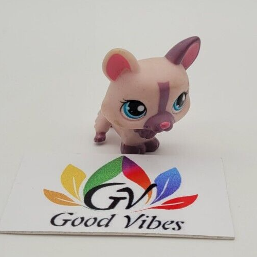 Littlest Pet Shop LPS Figur Hund Corgi Pink/Rosa #1645 | eBay