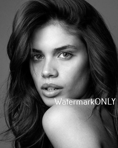 Gorgeous "Victoria Secret" SUPER Model "Sara Sampaio" Beautiful PHOTO! #(12) | eBay