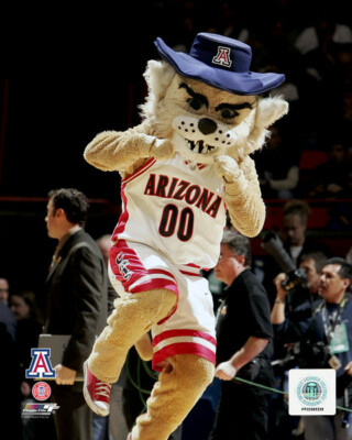 Wilbur Arizona Wildcats 8 X 10 Photo AAJH028 | eBay