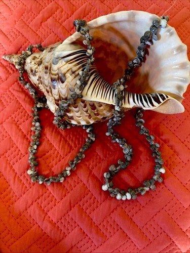 Snail Shell Necklace, Tiny Snail Shells Lei Approx. 34"-36" Long (2 ...