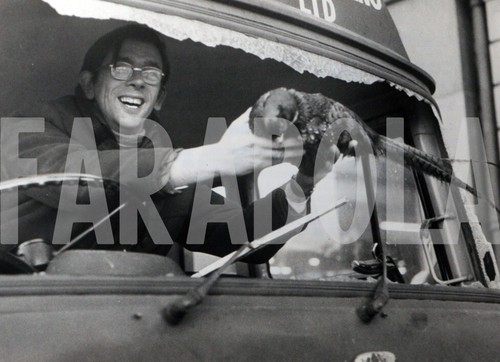 Photo De Presse Vintage UK, Colin Cocker Avec Son Faisan, Tirage 20X15 ...