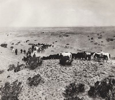 1908/52 Vintage WESTERN COWBOY HORSE Remuda 11x14 Photo Art By ERWIN E ...