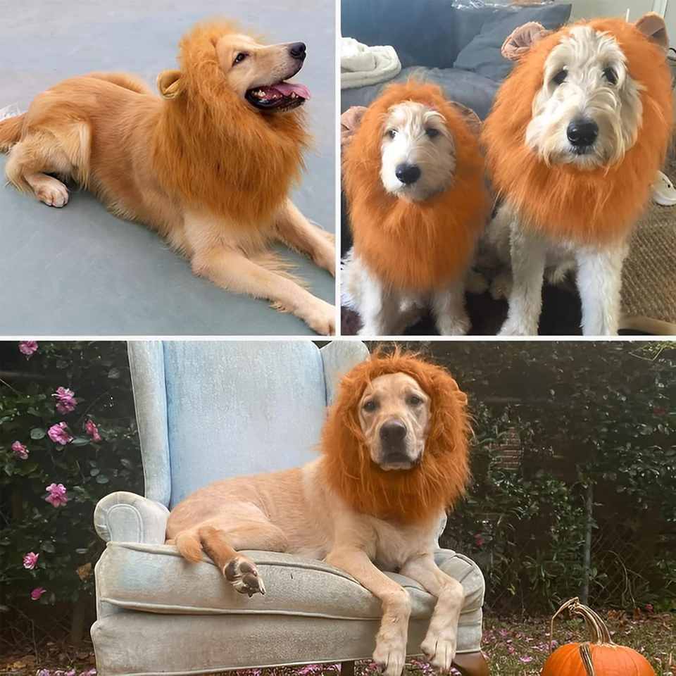 Dog Lion Mane Costume with Ears Adjustable Wig for Medium Large Dogs ...