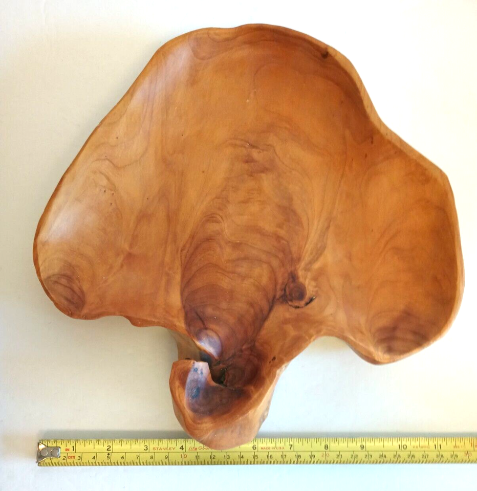 Root Wood Dish Platter Tray Serving Display Catch-All Free Form ...