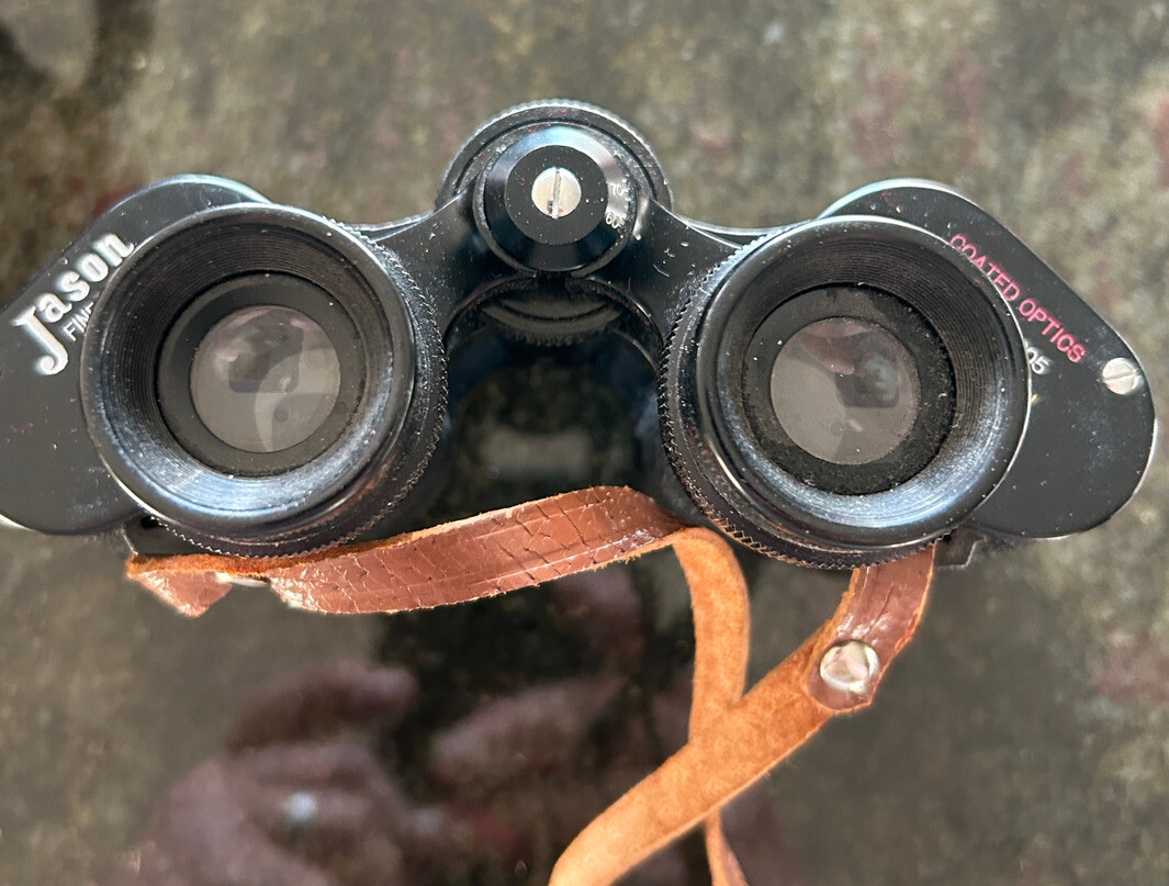 Vintage JASON Binoculars W/Case , 6x 12x30 Fully Coated Optics | eBay