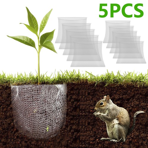 5Pcs Plant Root Guard Stainless Steel Root Guard Baskets Gopher Proof ...