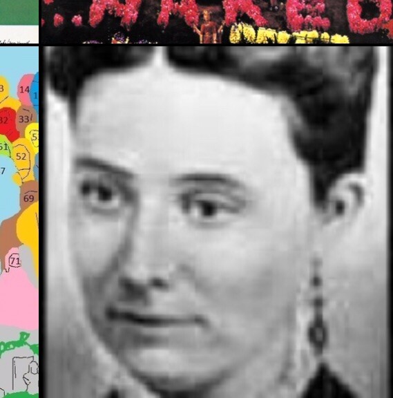 Rare Antique Tintype Of Catherine Devine McCarty Antrim Mother Of Billy ...