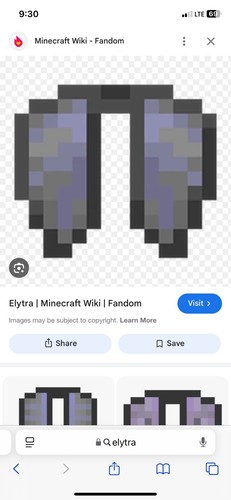 DONUT SMP | ELYTRA | READ DESCRIPTION