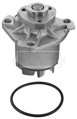 CAPSautomotive Water Pump for Volkswagen_1 022121011 022121011X ...