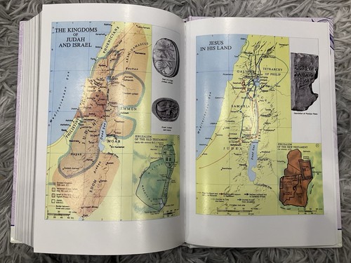 MEV Bible SpiritLed Woman Lavender Casebound : Modern English Version ...