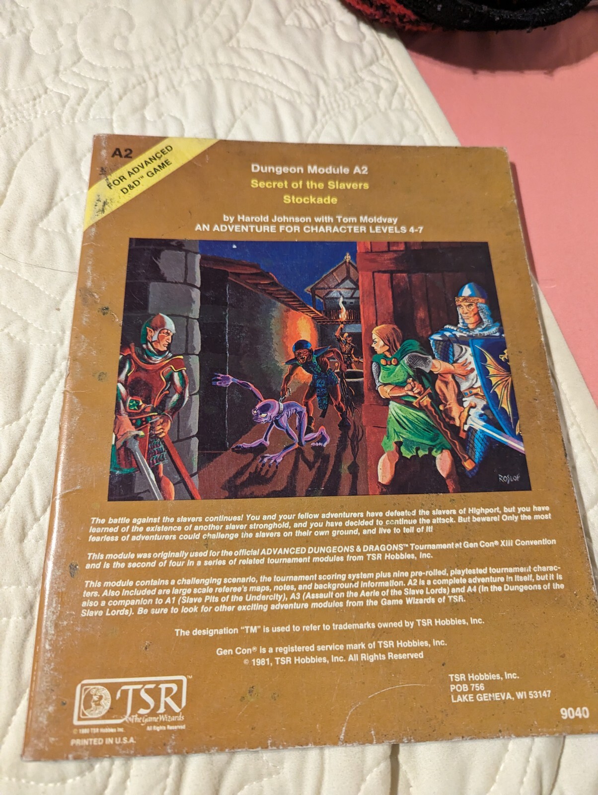 TSR A2 Secret Of The Slavers Stockade Harold Advanced Dungeons&Dragons ...