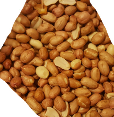 US Grown Raw Peanuts Red Skin US Grown -15oz-2LBS -5LBS Free Shipping ...