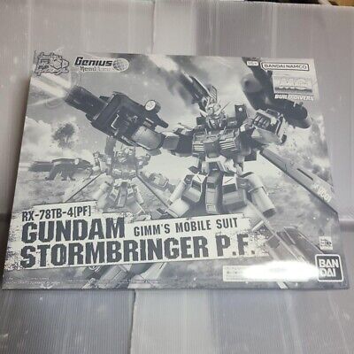 MG 1/100 Gundam Stormbringer P.F. Build Divers Model Kit Premium Bandai ...