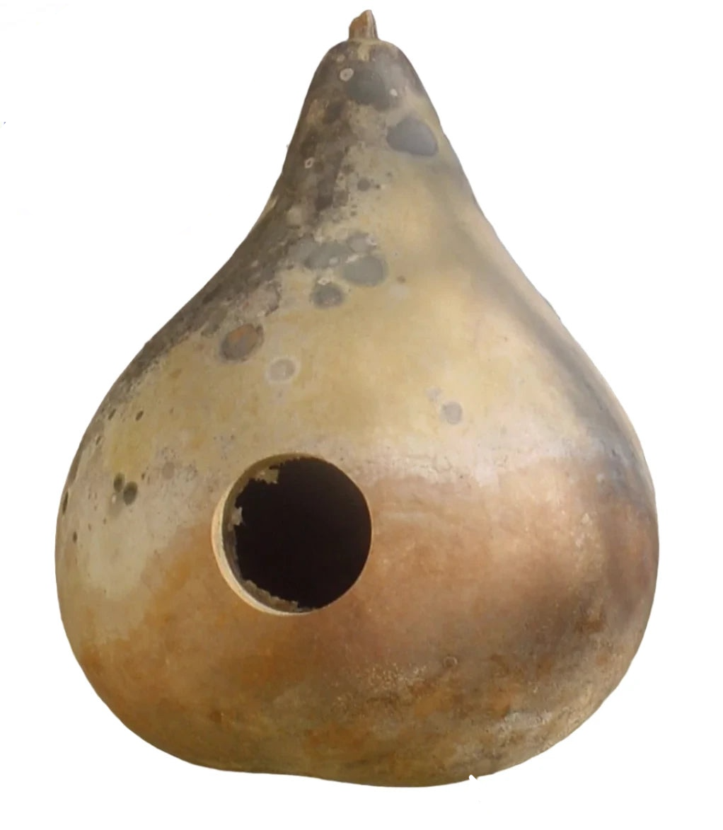 Gourd Bird House, 5" - 6", Natural Nesting, Bird Houses by Mark, Made ...