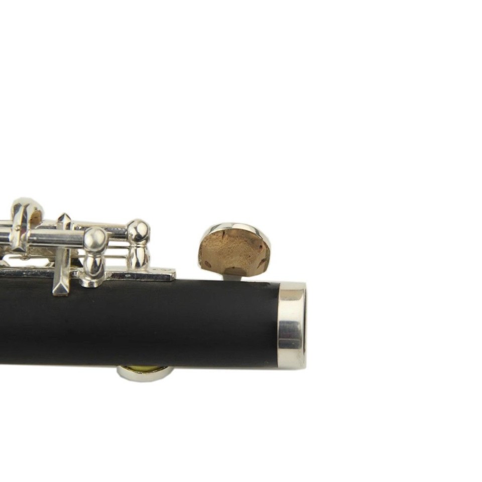 Brand New Professional Piccolo C-key Piccolo Instrument with Box --- | eBay