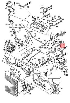 Genuine VW CC Passat Coolant Hose With Quick Release Coupling ...