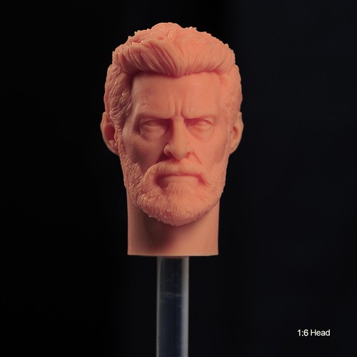 1/12 Wolverine Logan James Howlett Head Sculpt Fit 6inch Male Action ...