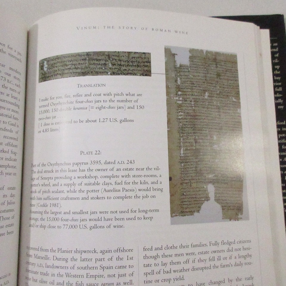 Vinum The Story of Roman Wine Stuart Fleming Ancient Winemaking ...