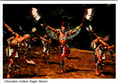 Vintage Postcard Cherokee Indian Eagle Dance Native American ...