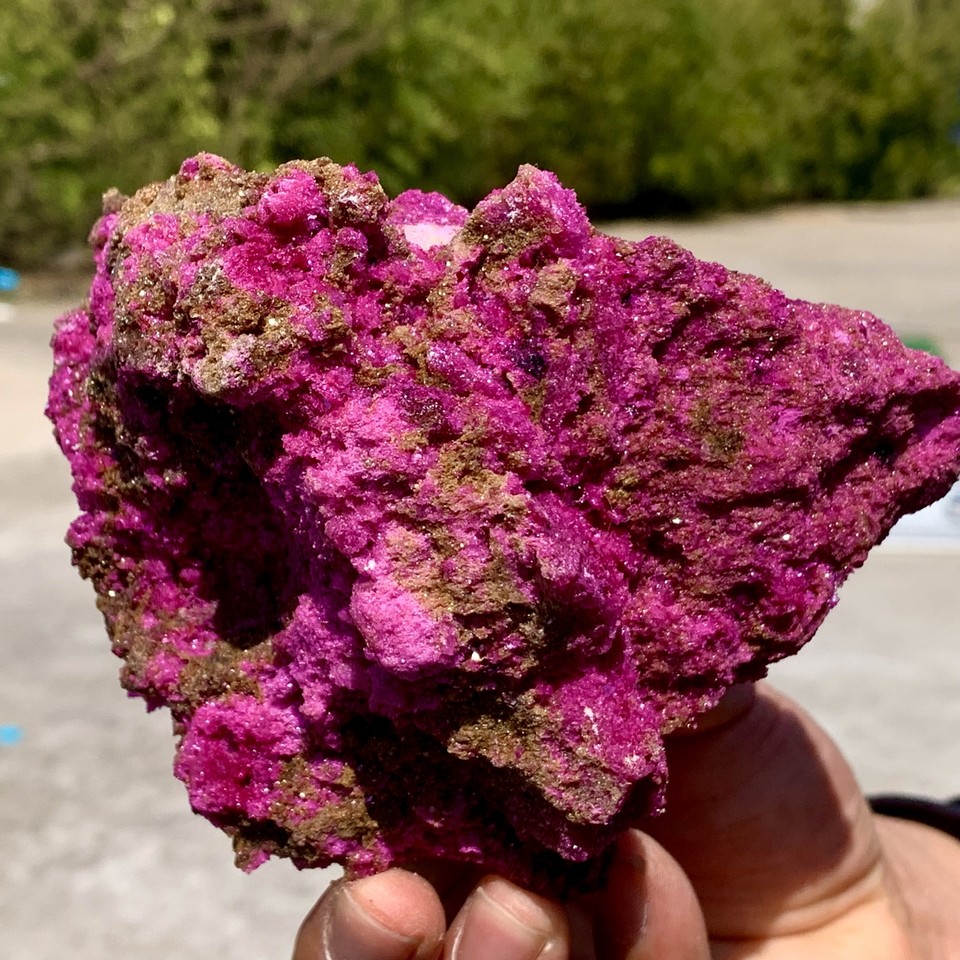 1.7LB Natural coarse red corundum and phlogo mineral powder ruby raw ...