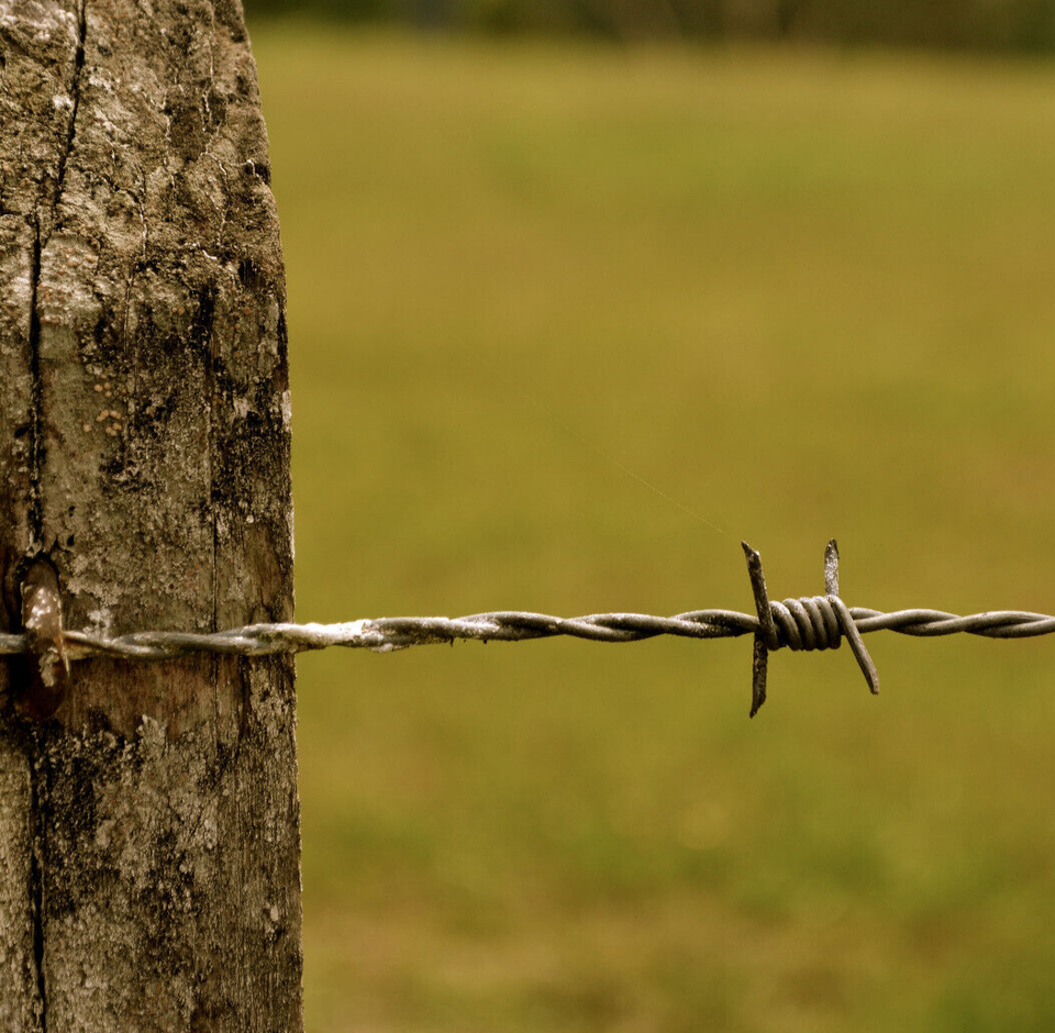 New 100m Security Fencing Galvanised Barbed Wire Livestock Paddock ...