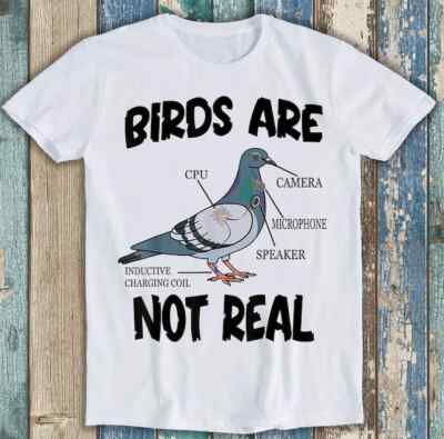 Pigeon Birds Are Not Real Funny Bird Spies Funny Gift Tee T Shirt M1587 ...