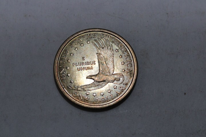 2000 Sacagawea Dollar P Mint Mark Wounded Eagle misprint error Coin | eBay