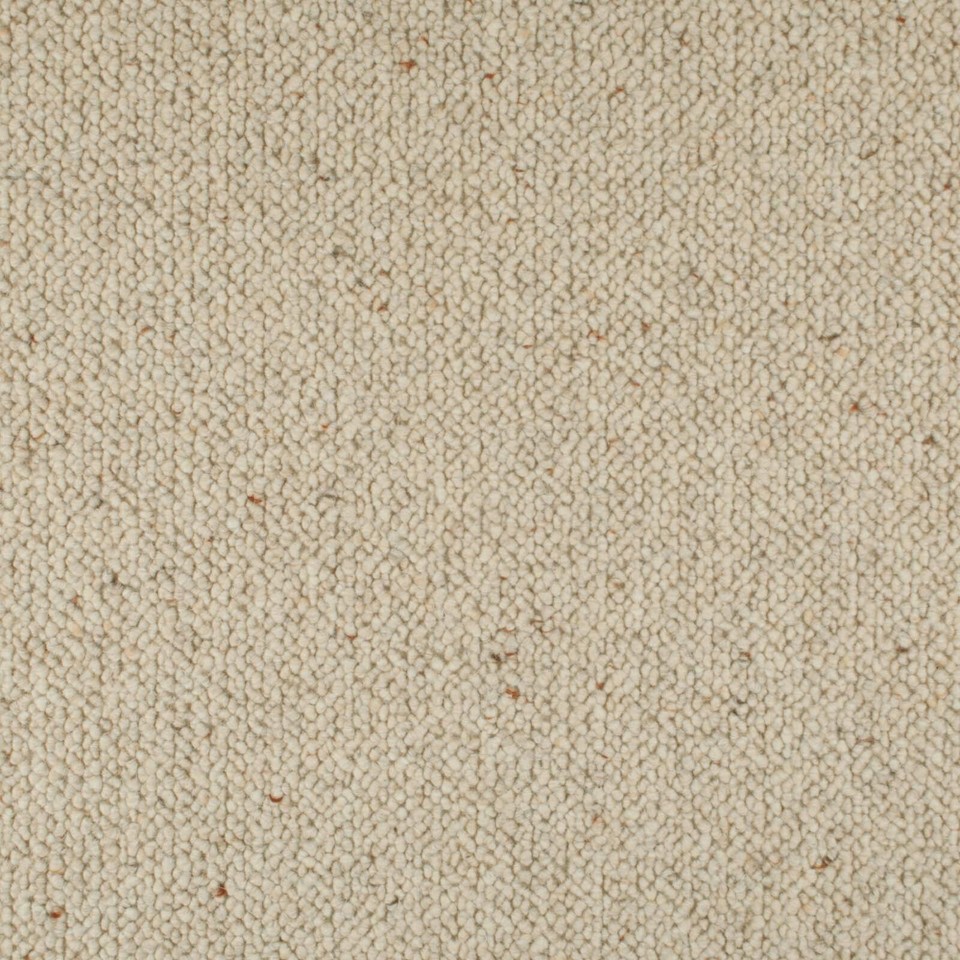 Cream Carpet, Cheap Cream Carpets, Twist & Saxony Pile Cream Carpets ...