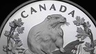 BEAVER Symbol 50th Anniversary 2025 CANADA .9999 Silver Dollar $1 Coin ...