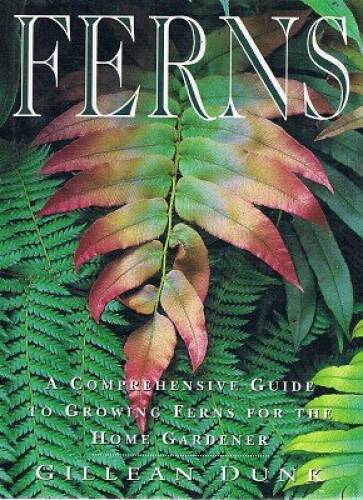 Ferns: A Comprehensive Guide to Growing Ferns for the Home Gardener ...