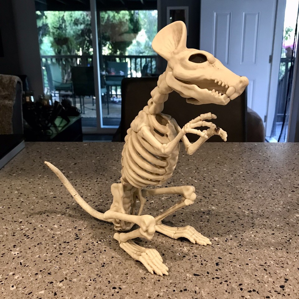 11” Large Rat Skeleton Halloween Decoration TikTok Viral Mouse Bones | eBay