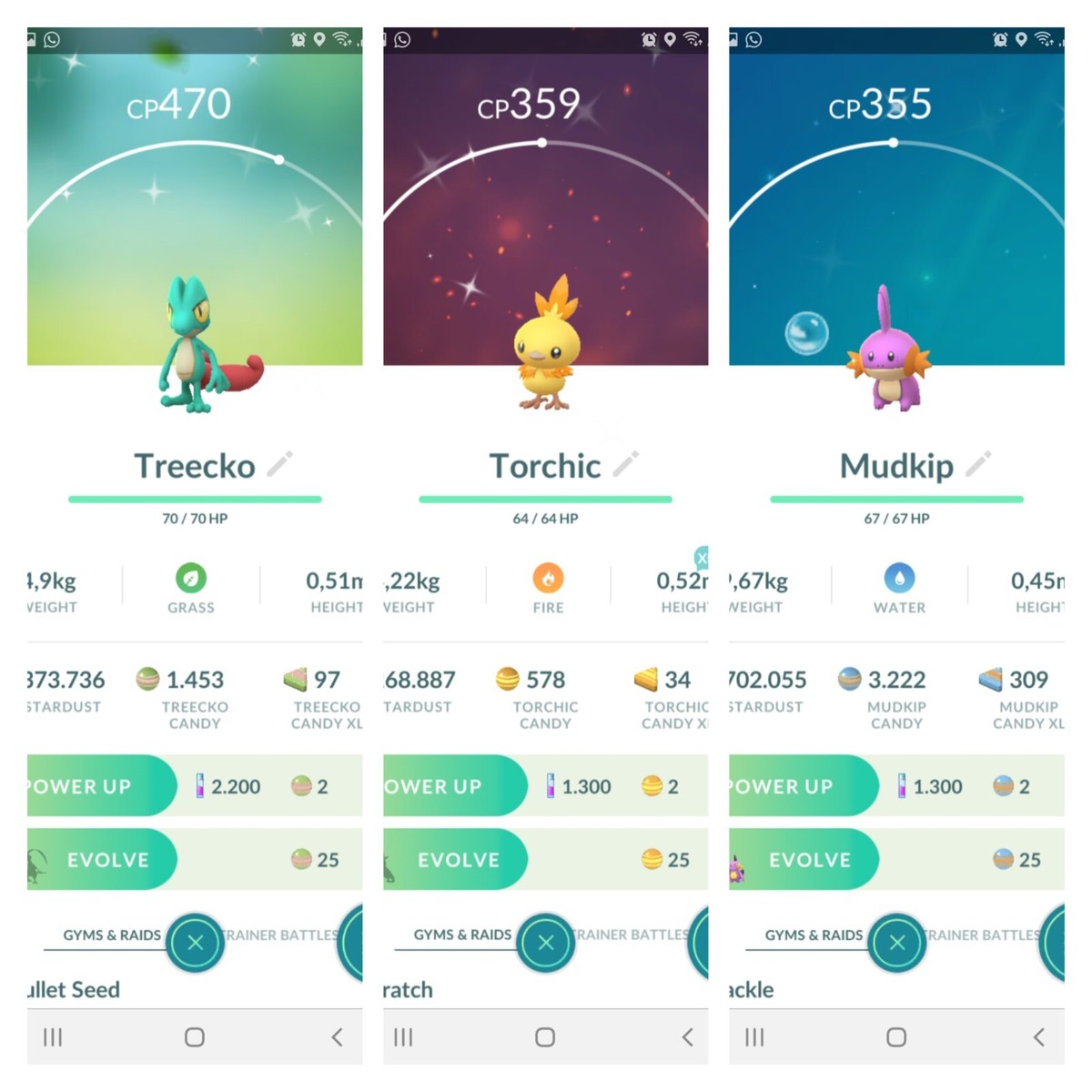 Shiny Hoenn Starters