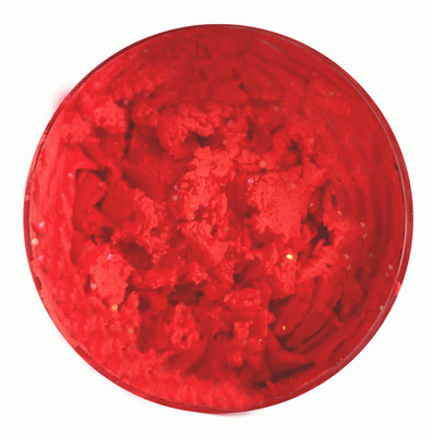 Spro Trout Master Pro Paste Fluoro Red Glitter Strawberry | eBay