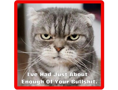 Funny Grey Mad Cat BS Humor Refrigerator / Tool Box / File Cabinet ...