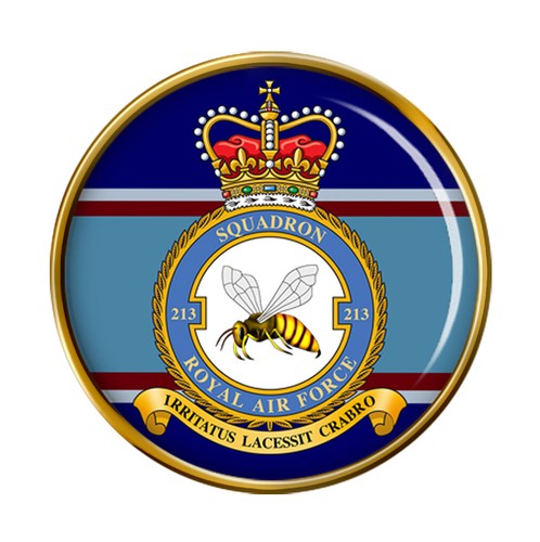213 Squadron, RAF Pin Badge | eBay