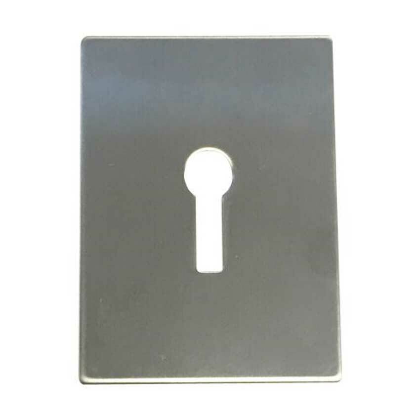 TSS Mortice Key Stick On Escutcheon 65 x 47mm SA (TSSUKESCSA) | eBay