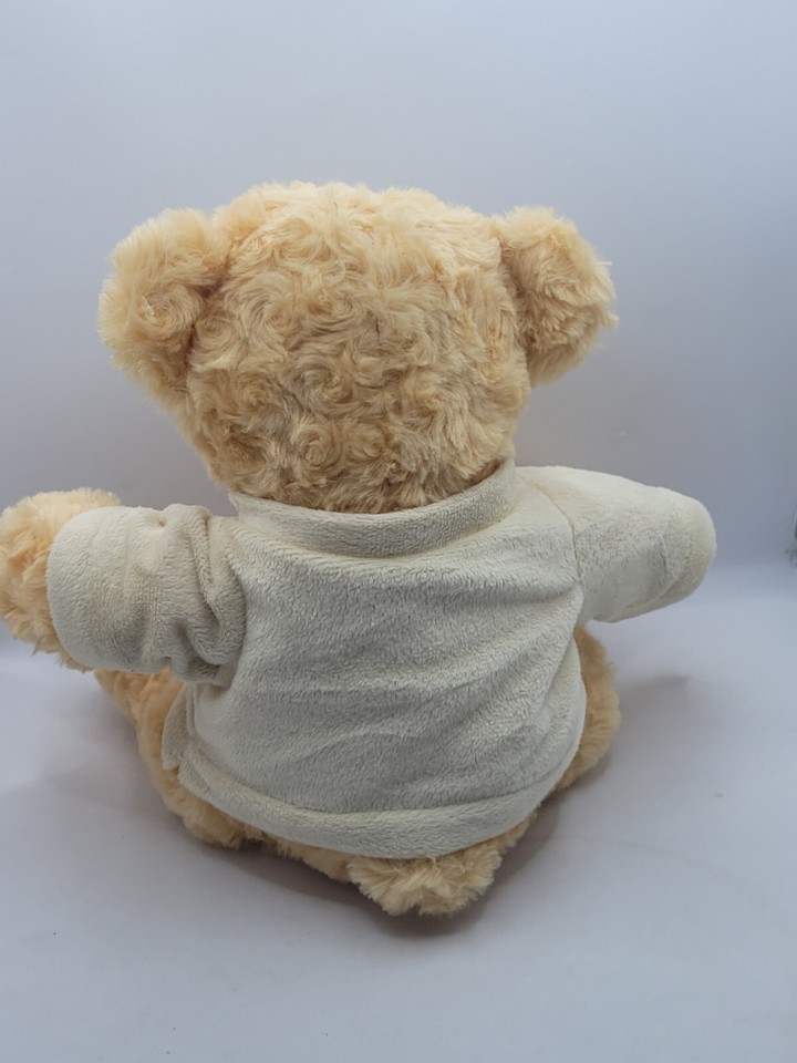 Skegness Ingoldmells Hardys Animal Farm Teddy Bear Cuddly 10"Plush Soft ...