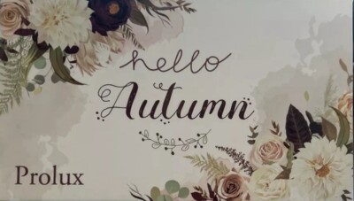 PROLUX Hello Autumn Eyeshadow Palette - Pigmented 18 Colors 🌺🌸🌺🌸🌺 | eBay