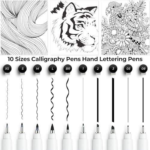 10 Sizes Calligraphy Pens Fine Brush Chisel Tip Point Nibs Pigment ...