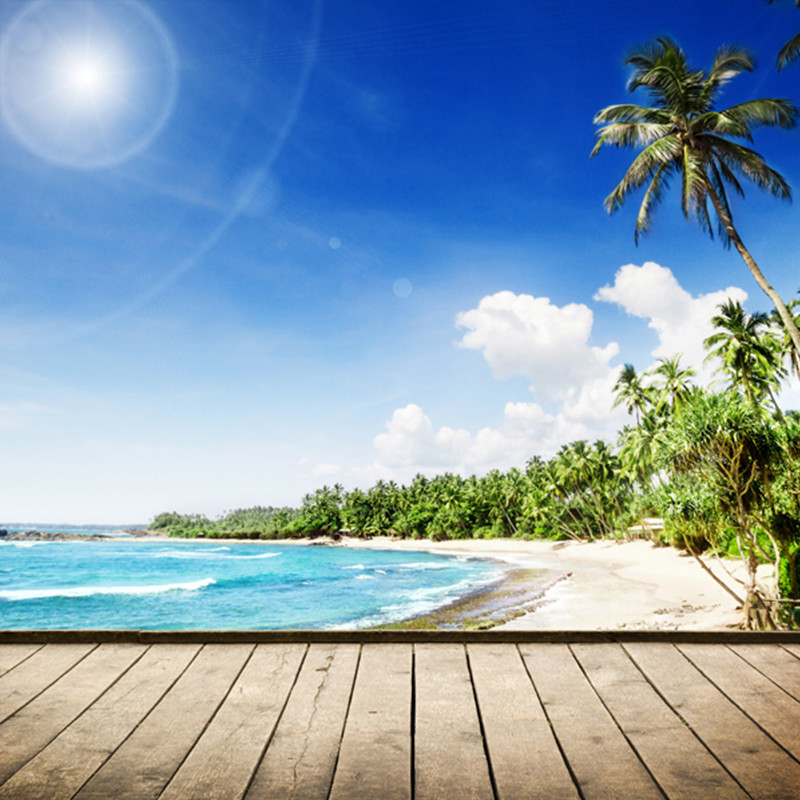 10x10Ft Summer Sea Beach Studio Photography Background Backdrop Props ...