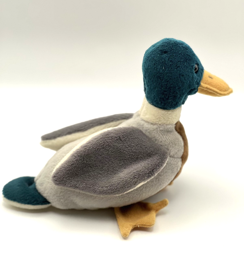 TY BEANIE BABIES JAKE THE MALLARD DUCK 1997 PLUSH BEAN BAG, MINT WITH ...